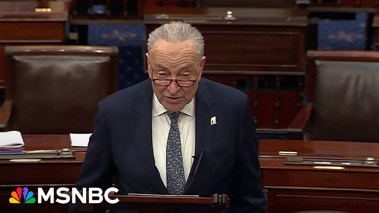 ‘It just looked pathetic...’ Rep. Becca Balint on Sen. Schumer's ...