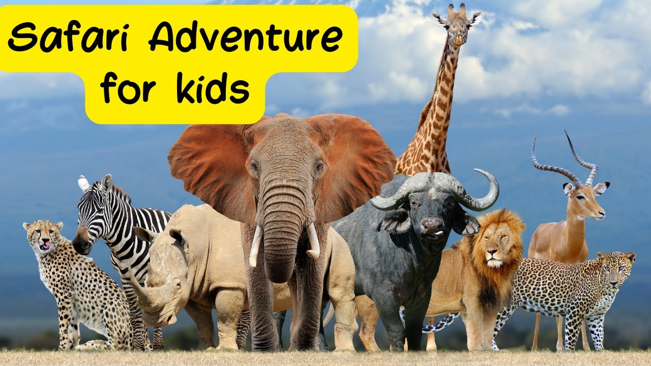 "Safari Animals for Toddlers: Enter the Wild with Me! 🐘 Fun ...