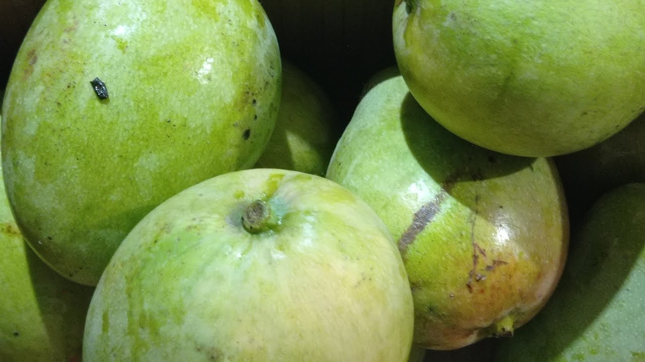 mango with bagoong @AirenLuna23 - YouTube