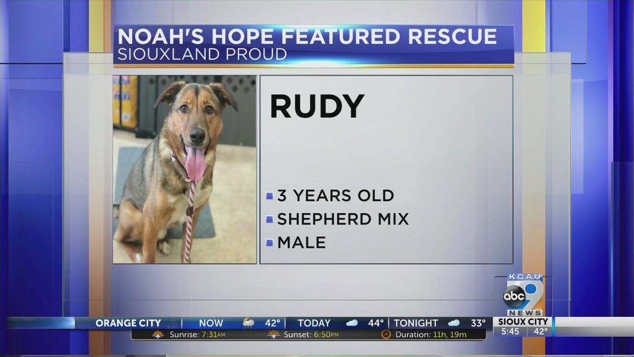 Noah's Hope Introduces Rudy - YouTube
