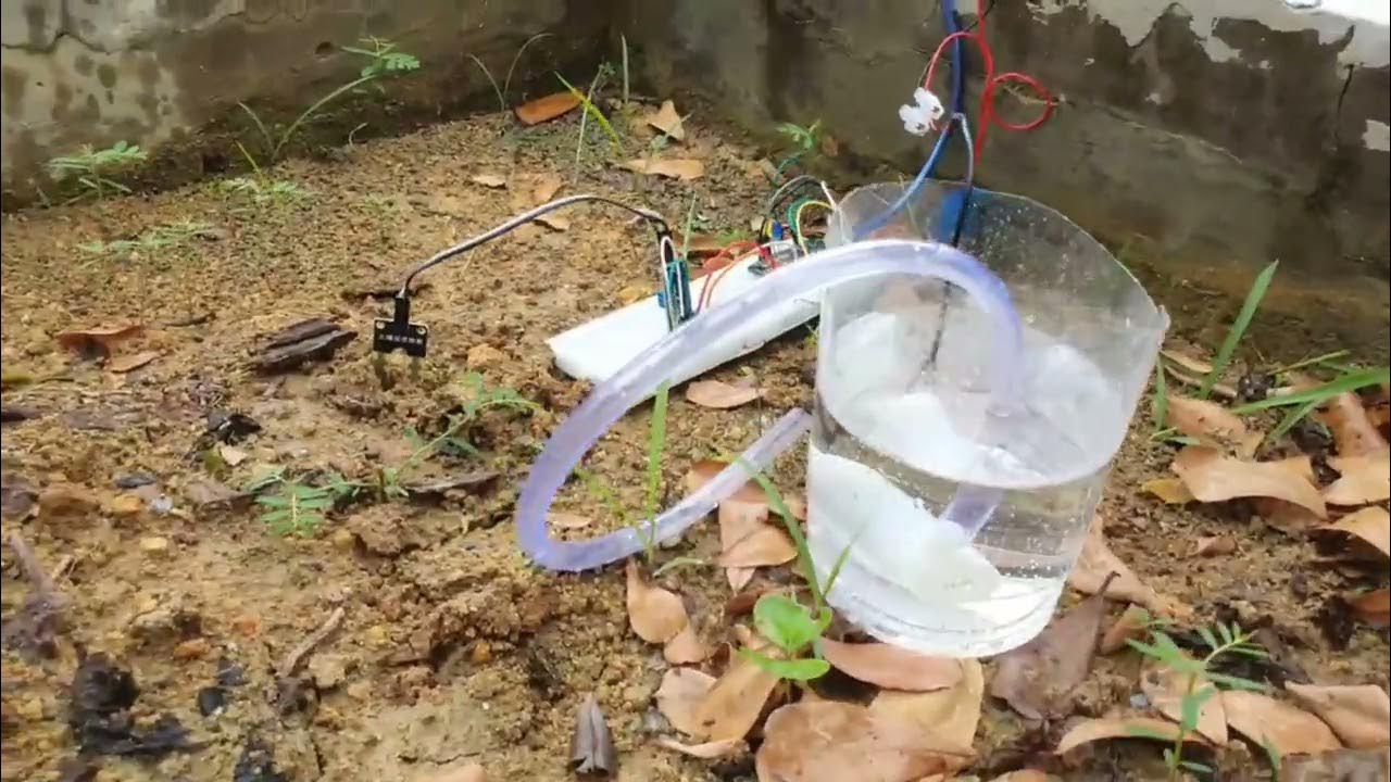 IOT-Based Plant Irrigation System Monitoring - YouTube