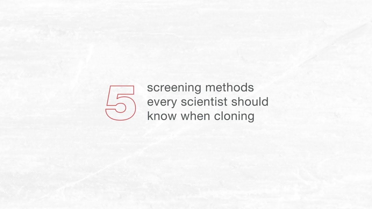 5 screening methods every scientist should know - YouTube
