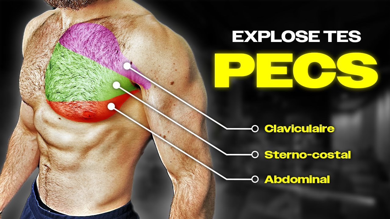 Ces 3 exercices PECS devraient être obligatoire ! (Expliqué par la ...