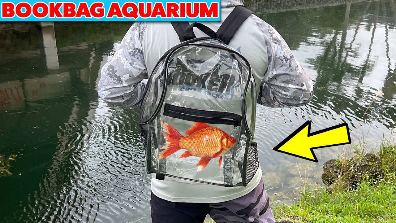 Bookbag Aquarium DIY WORLD'S FIRST! - YouTube