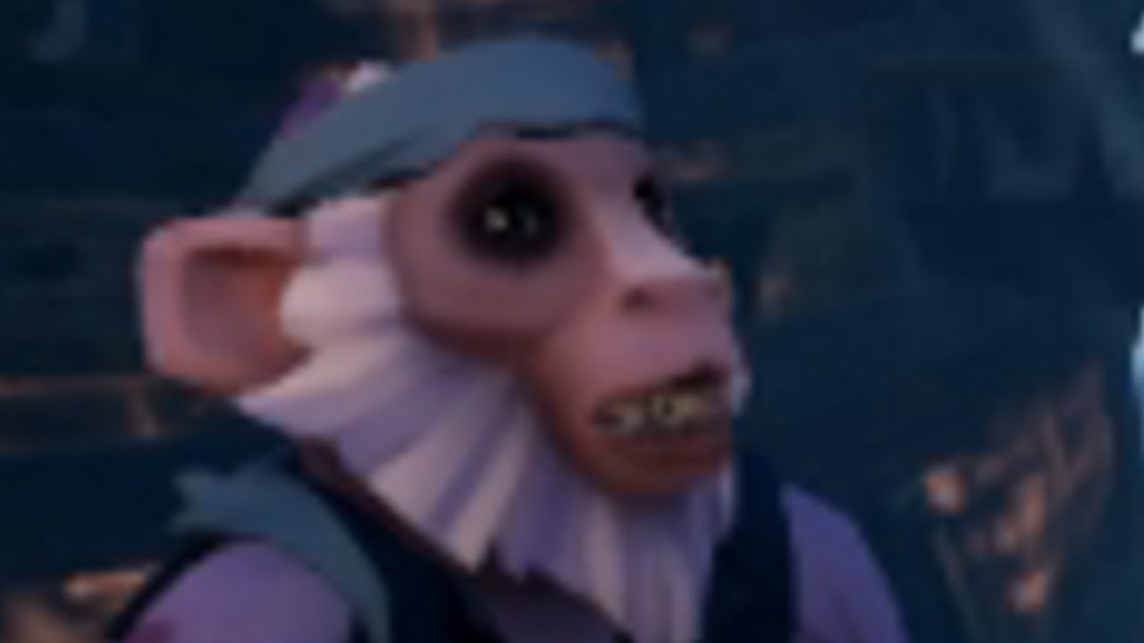 Coitado do macaco - YouTube