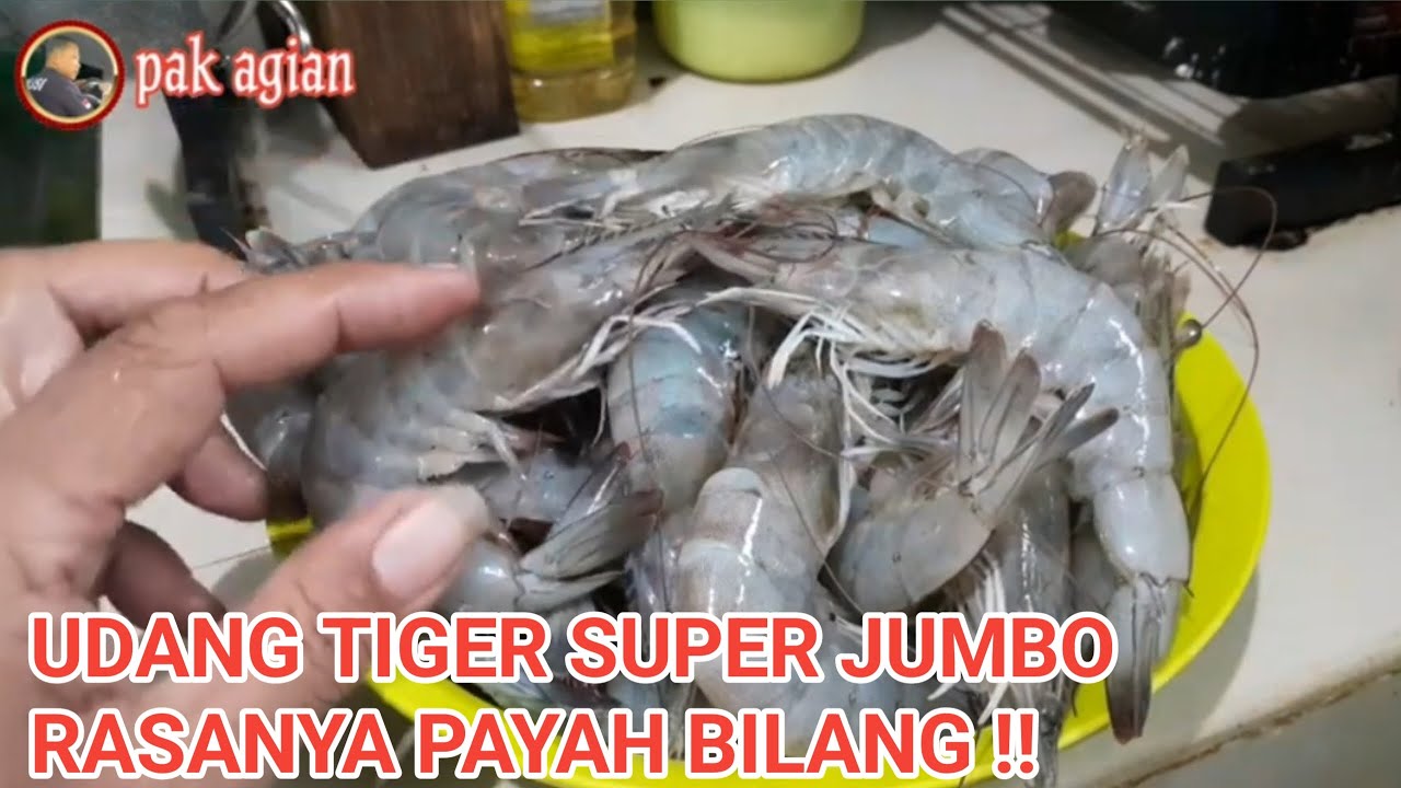 Udang Tiger Super Jumbo banyak manfaatnya, menambah stamina dan ...