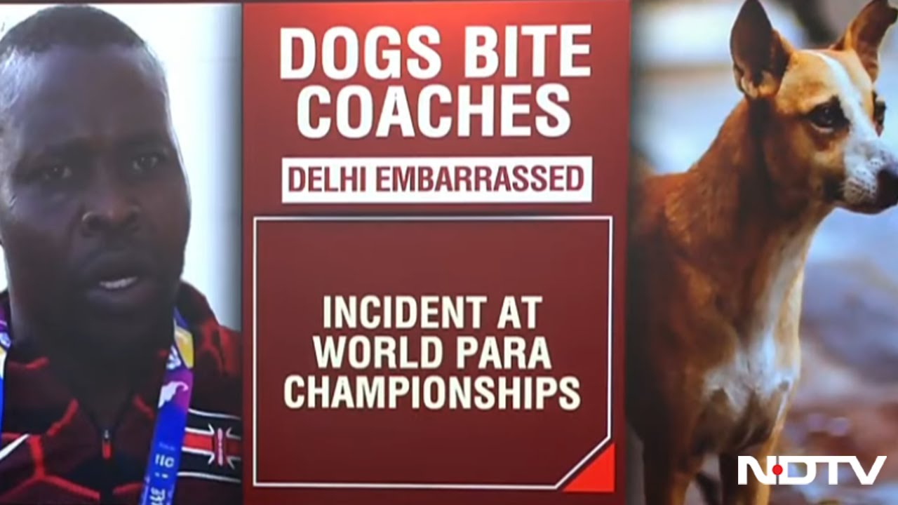 Stray Dog Bites Kenyan Official In Delhi During World Para Athletics ...