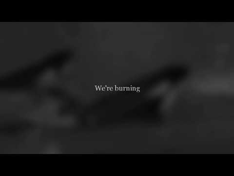 circles | kasatka 💔