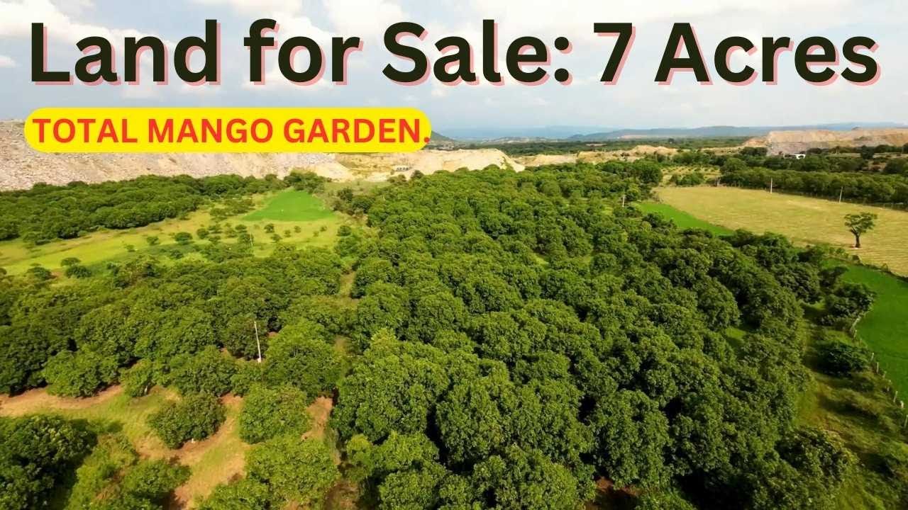 7 Acres of Land for Sale - YouTube
