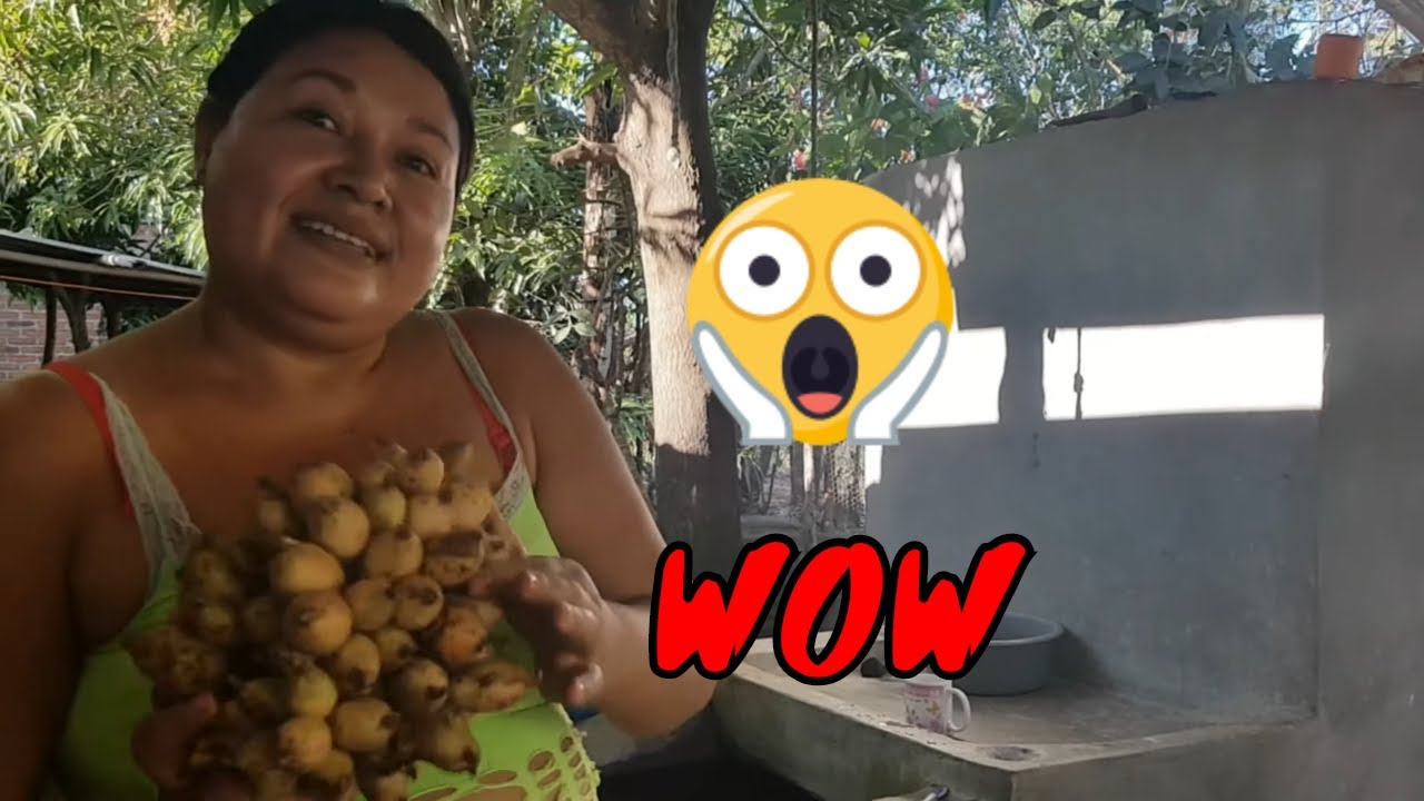 VEN Y DESCUBRÉ COMO SE HACE EL ATOL DE PIÑUELA CON LITA - YouTube