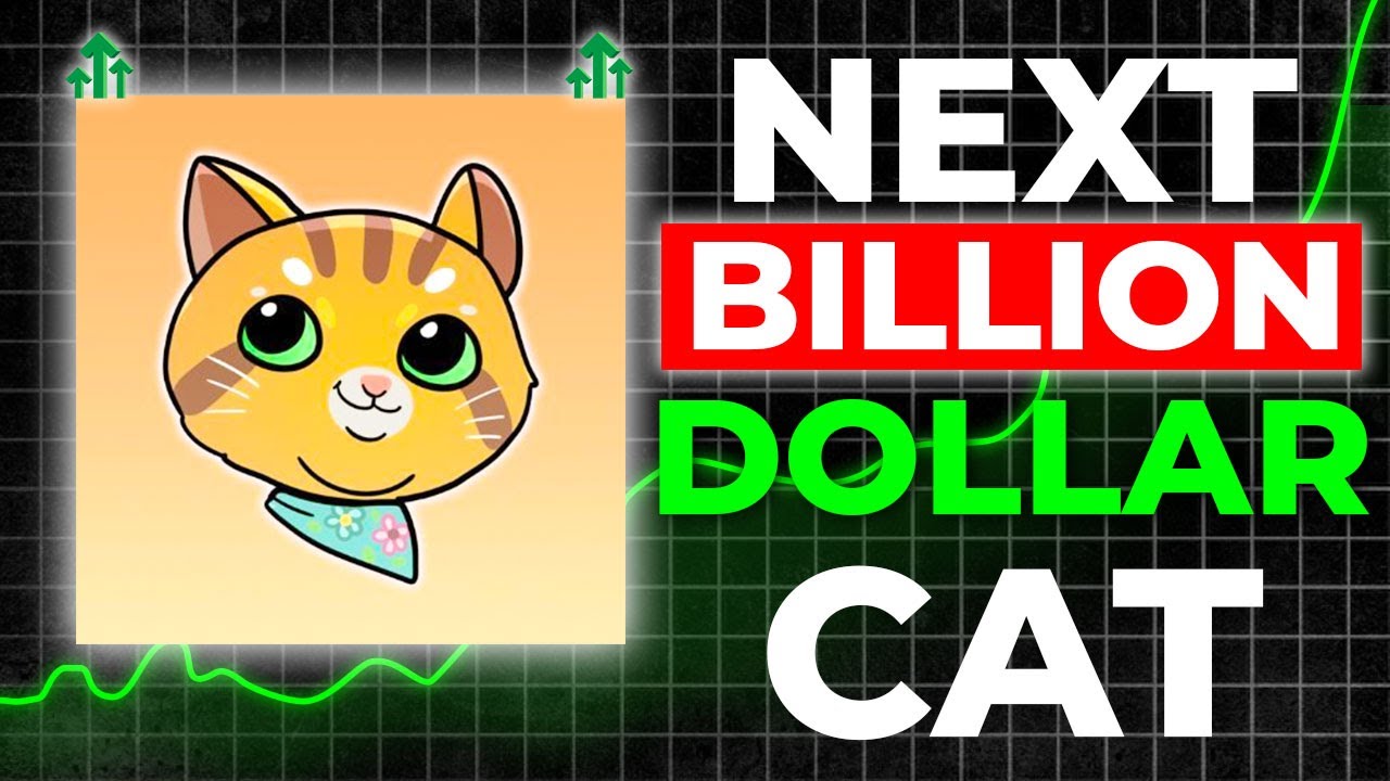 THIS COULD BE THE NEXT BILLION DOLLAR CAT COIN ON SOLANA! PAY ATTENTION ...