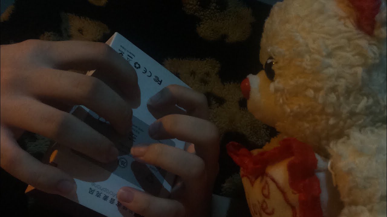 ASMR teaching my teddy bear how to tap - YouTube