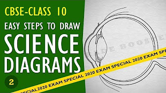 ALL IMPORTANT DIAGRAMS | CBSE 10th| SCIENCE biology physics chemistry ...