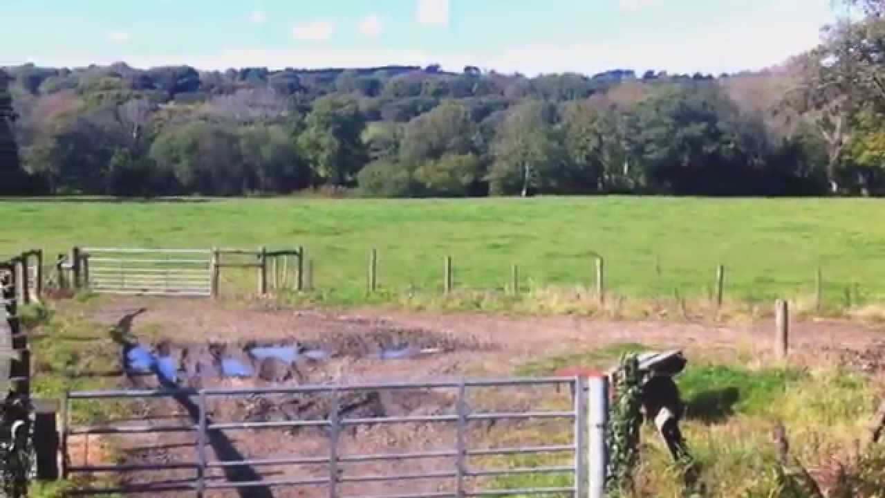 Ponthenri, Pontyates, Railway Walk. - YouTube