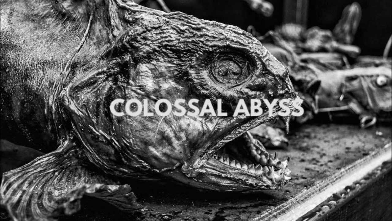 Colossal Abyss - Order of the Snake - YouTube