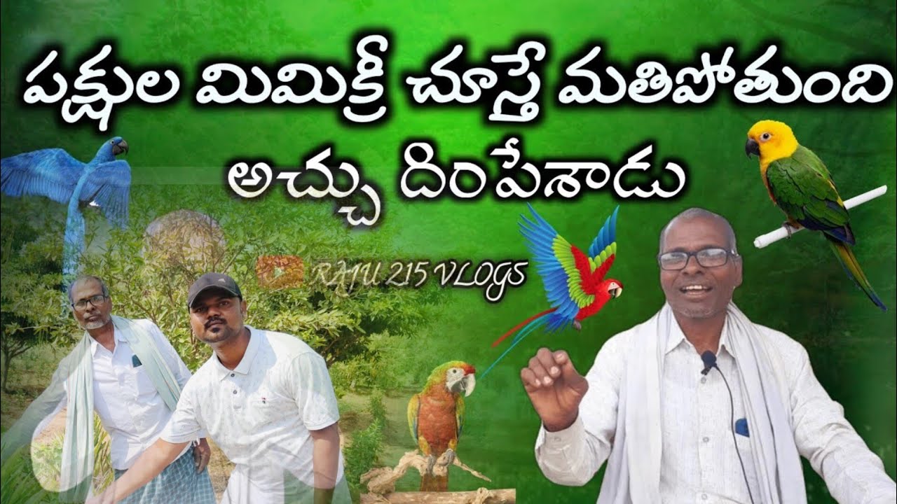 🦚🪿🦅పక్షుల మిమిక్రీ చూస్తే మతిపోతుంది అచ్చు దింపేశాడు//Mimicry of birds ...