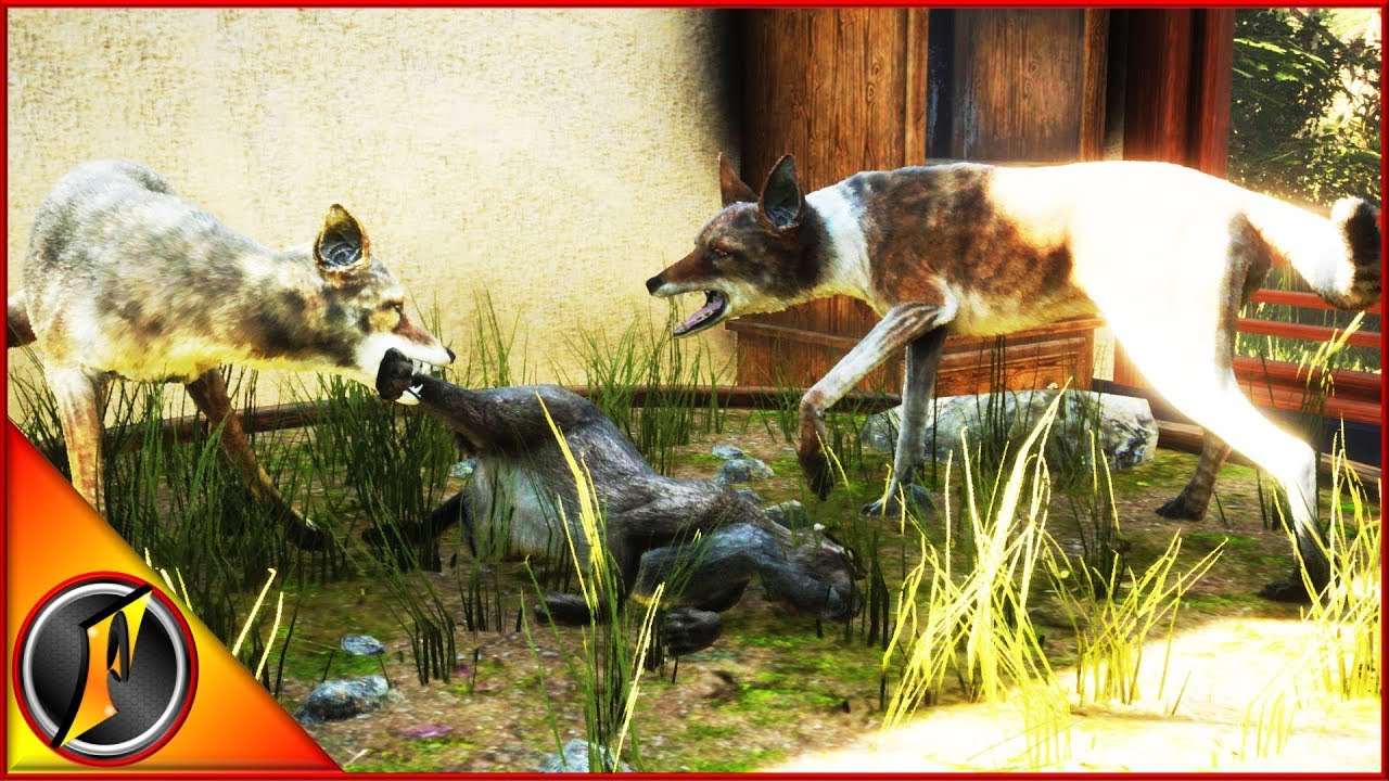 Putting Together an Awesome Coyote Multimount! - YouTube