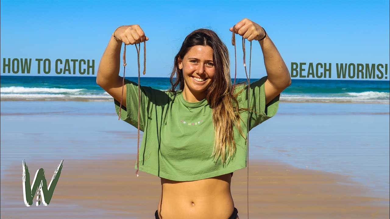HOW TO CATCH BEACH WORMS | The secret to catching & storing worms ...
