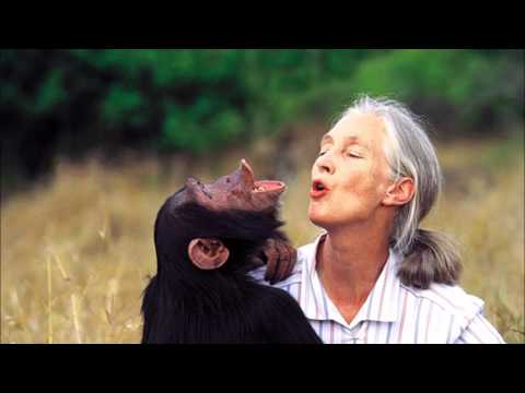 Jane goodall movie - YouTube