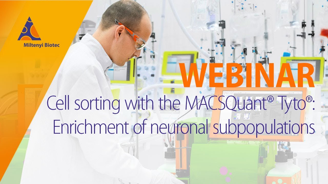 Cell sorting with the MACSQuant® Tyto®:Enrichment of neuronal ...