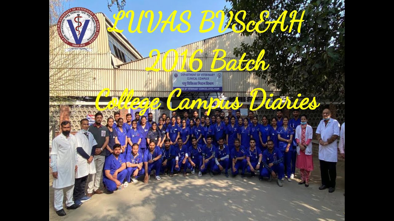 LUVAS BVSc & AH 2016 Batch College campus Diaries ......... - YouTube