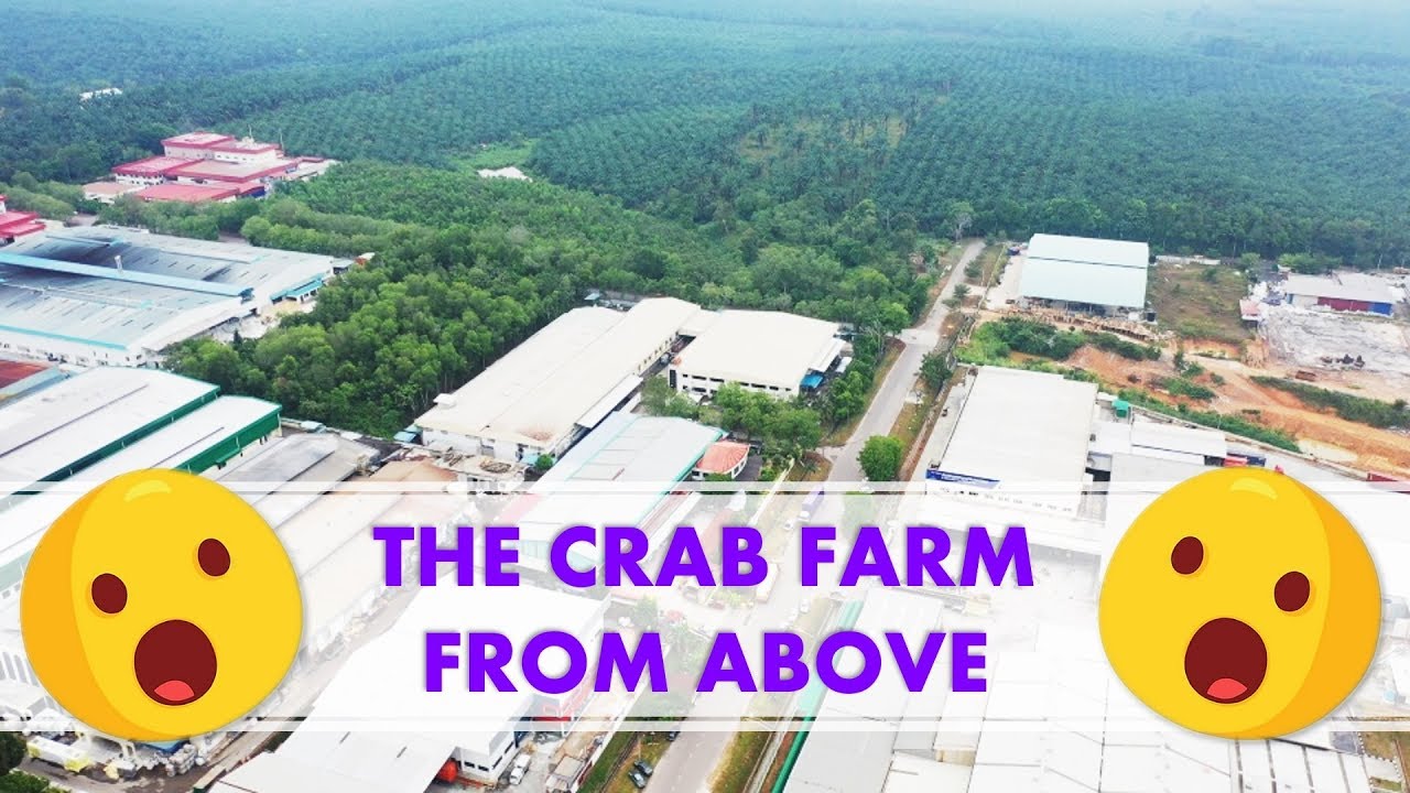 THE CRAB FARM FROM ABOVE!! This Is Where Our Farm Is Located | RAS ...