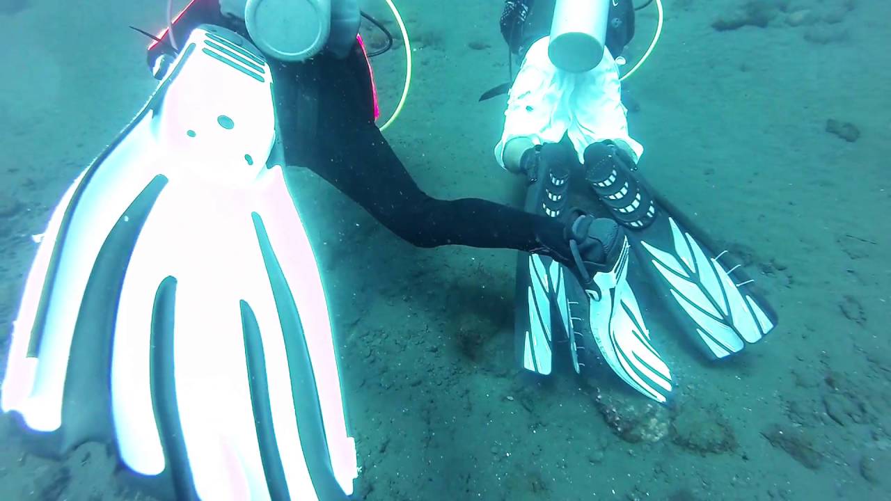 Dive Footage - Drop Off (2016-06-06) {Dive 6/7] - YouTube