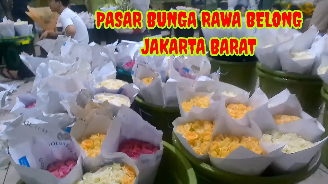 Walking Aroun Rawa Belong Flower Market to West Jakarta Pasar bunga ...
