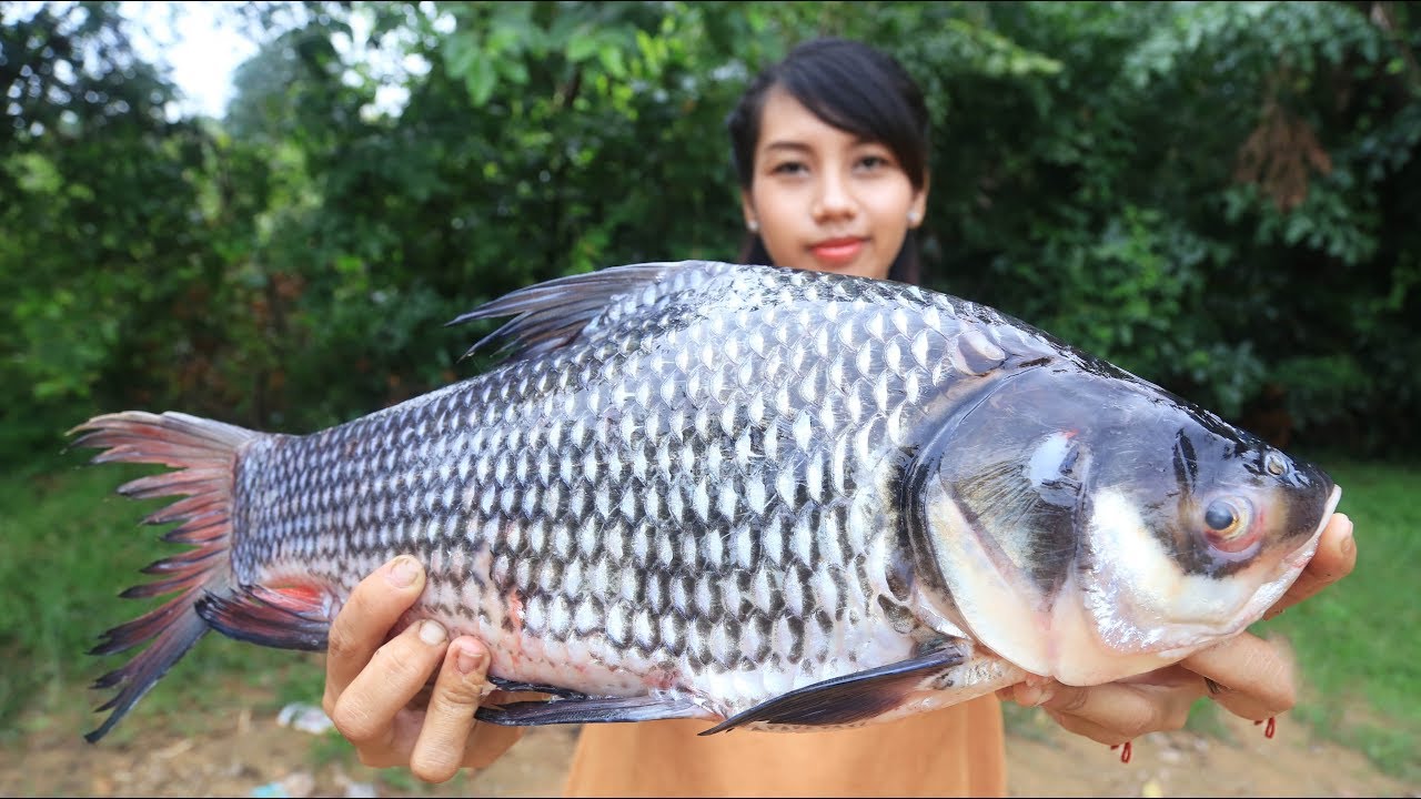 Yummy cooking big fish recipe - Cooking skill - YouTube
