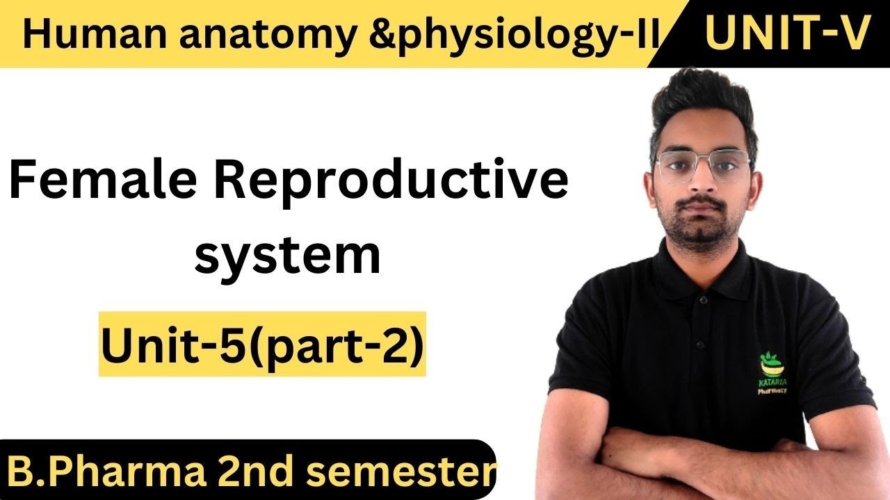 Female reproductive system,Hap-II, Unit-5(Part-2) B.Pharma 2nd semester - YouTube