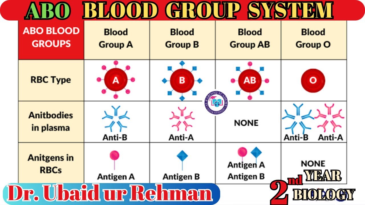 22.6 ABO Blood Group System | Blood Transfusion in ABO System ...