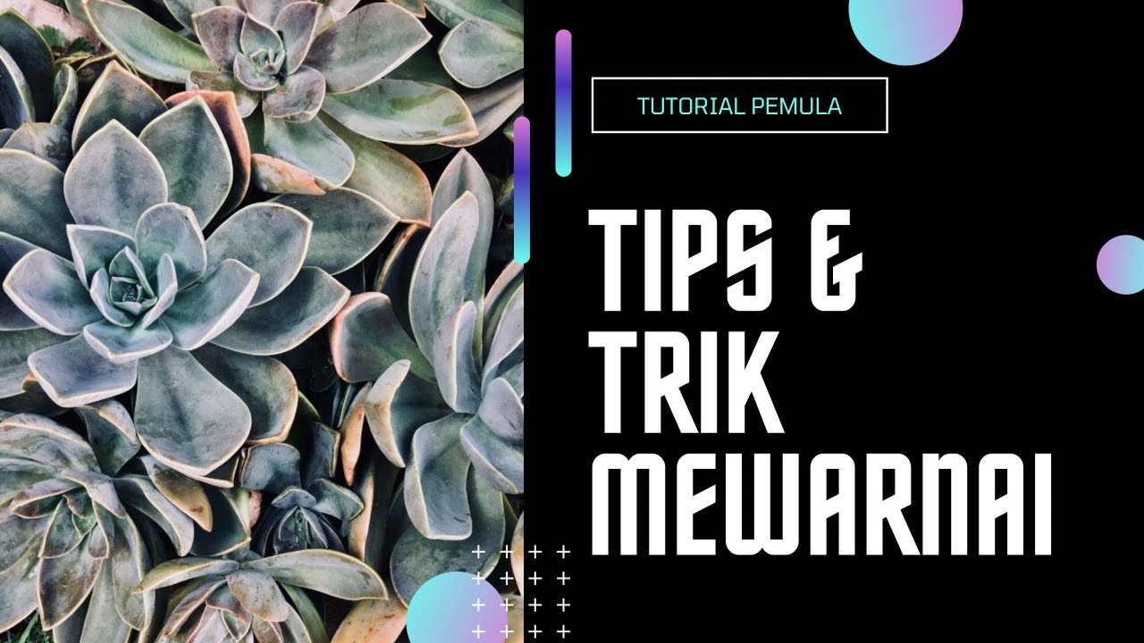 Teknik Mewarnai bagi pemula - Melatih motorik - Gradasi warna - Belajar ...