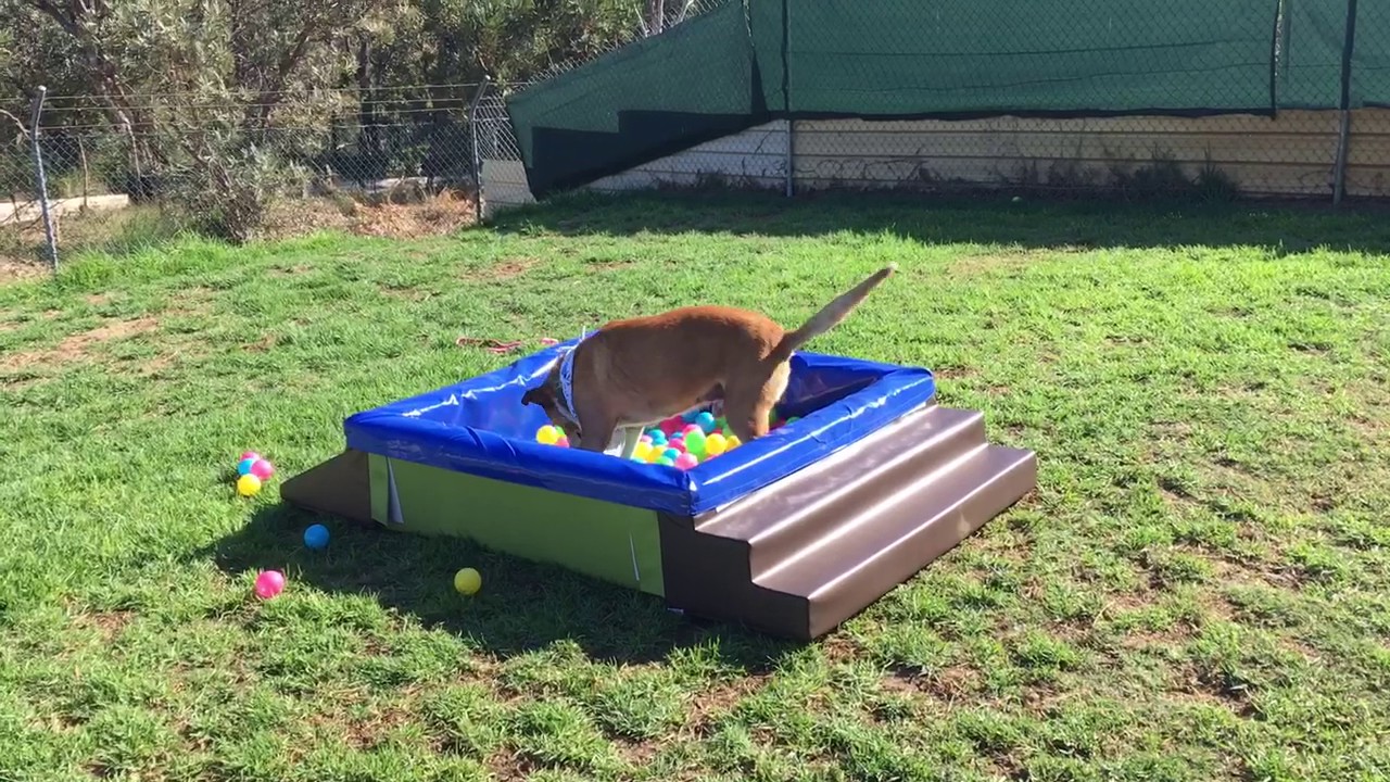 Spud balls 1 - YouTube