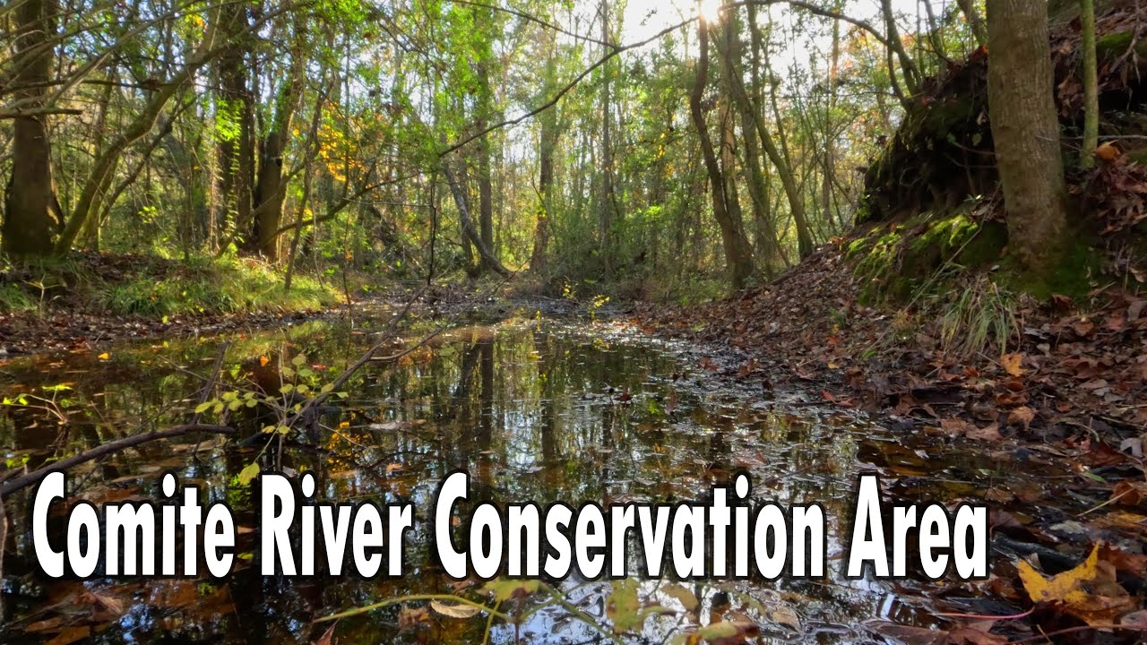 Comite River Conservation Area | Baton Rouge, Louisiana | Silent Hiking ...