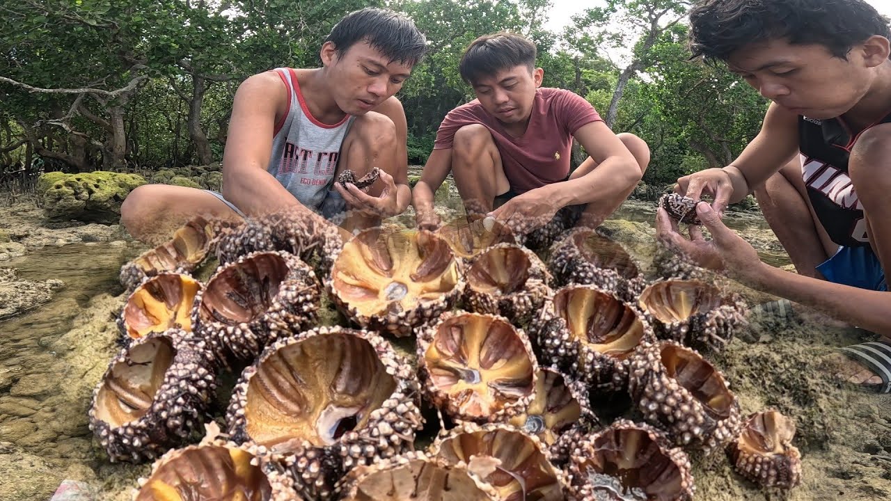Pag bilog ang buwan ganito ang laman ng tuyom, may malaki pang pugita ...