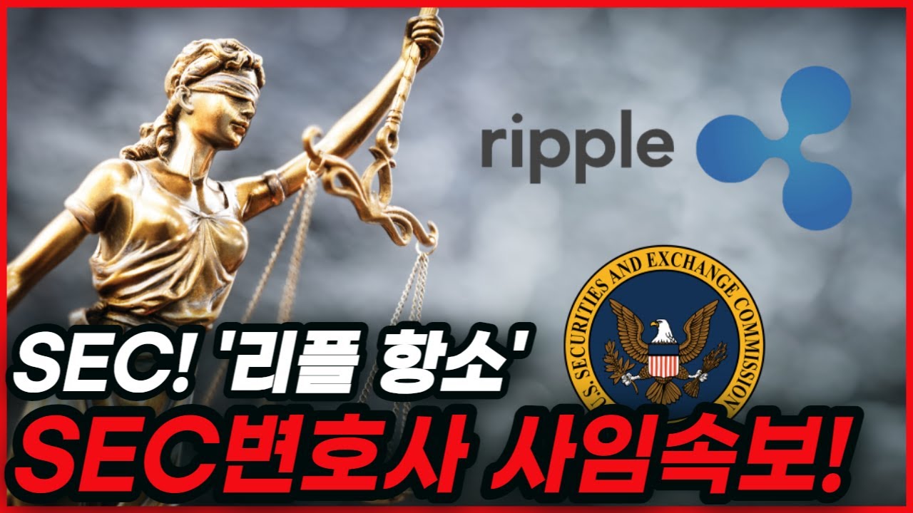 Sec측 변호사 사임 리플의 승소가 다가온다 리플소송 리플변호사 리플속보 리플코인 리플목표가 리플전망 리플항소 Youtube