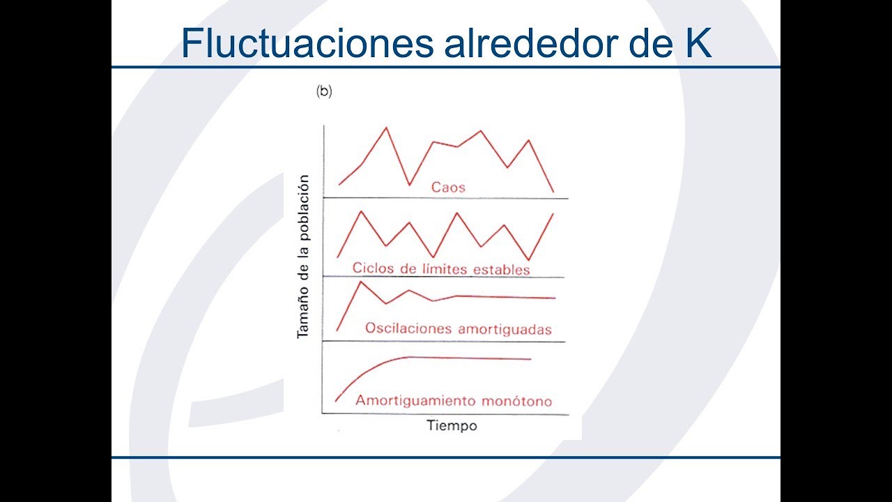 Tipos de Fluctuaciones 2020 10 12 at 09 09 GMT 7 - YouTube