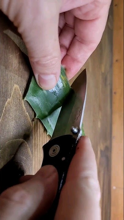 Sharp Knife Cuts Aloe Vera - Remington Liner Lock - YouTube