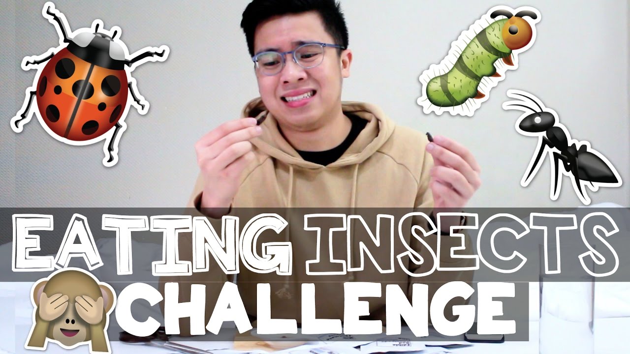 EATING INSECTS CHALLENGE!! 😱🐜🐞🐛 - YouTube