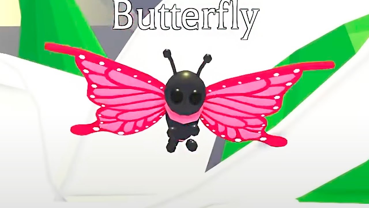 Nueva mascota Mariposa *aniversario Adopt me* 🦋 - YouTube