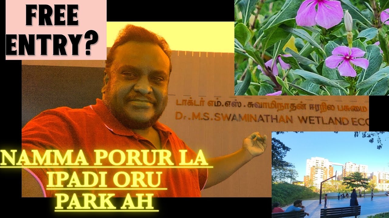 Porur Eco Wetland Park #Chennai #Park #travelvlog - YouTube