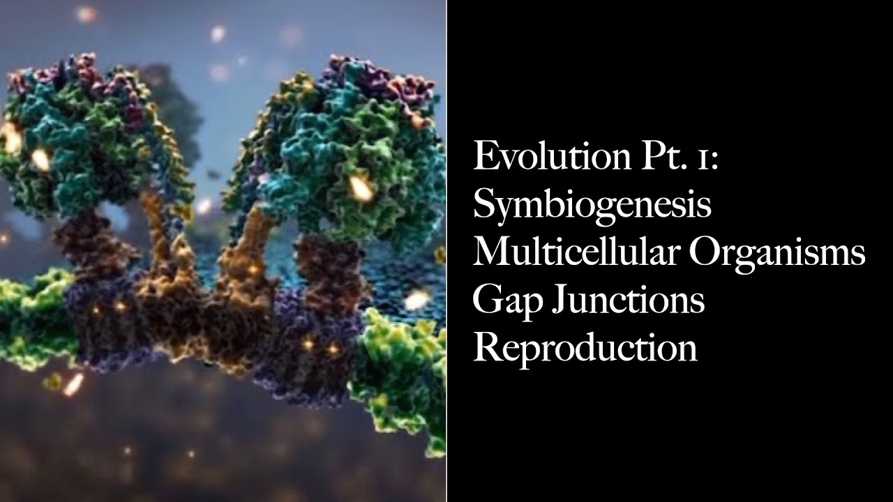 Evolution Pt. 1 - Symbiogenesis, Multicellular Organisms, Gap Junctions ...