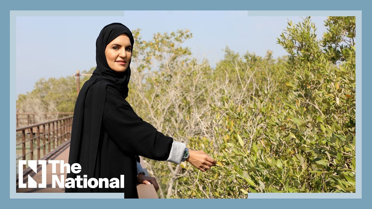 UAE’s first female aircraft engineer creates a mangrove forest - YouTube