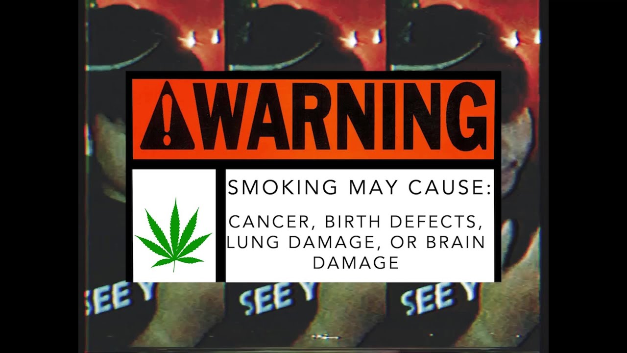 40KBOY x LT - WEED (Visualizer Video) - YouTube