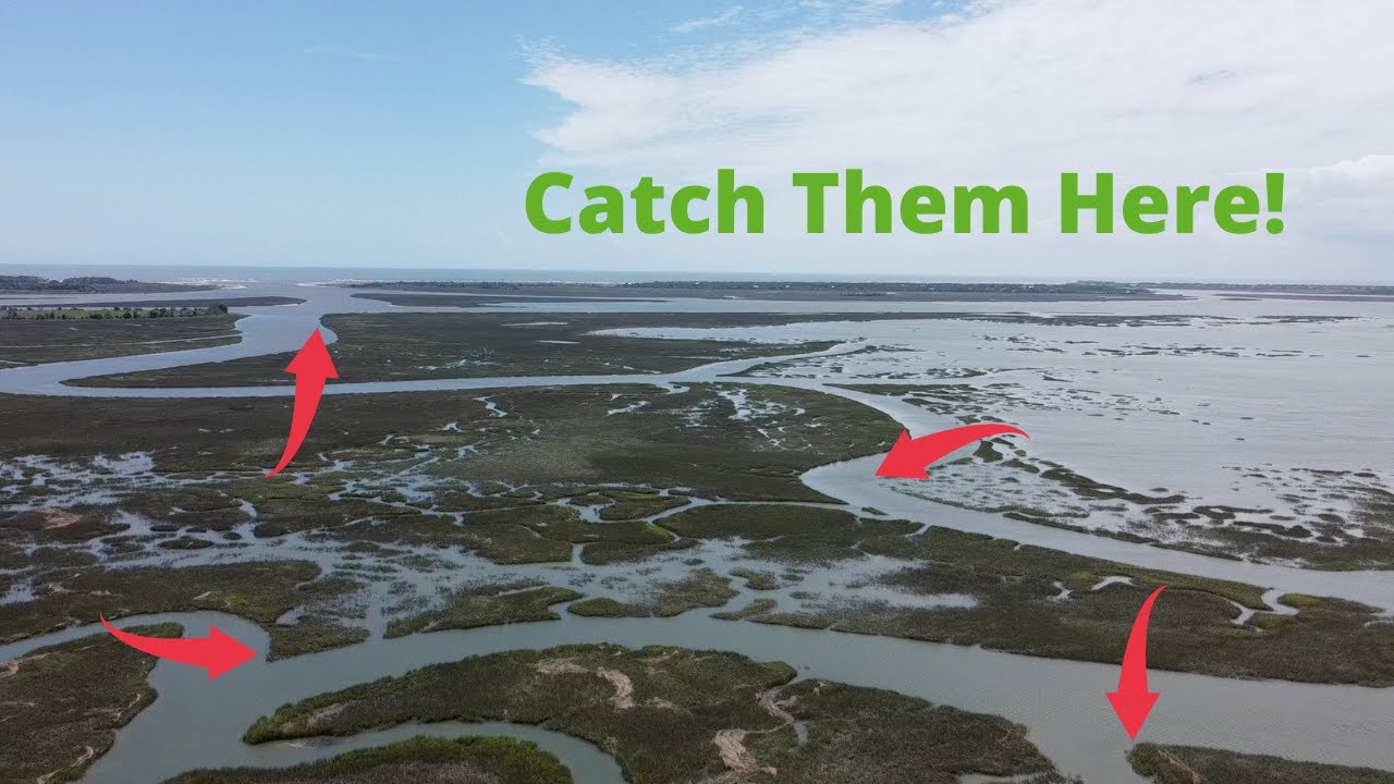 How To LOCATE & CATCH FISH Every Time! - All you need to know. - YouTube