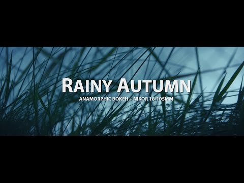 Rainy Autumn (Anamorphic bokeh + Nikor 18 - 105mm)