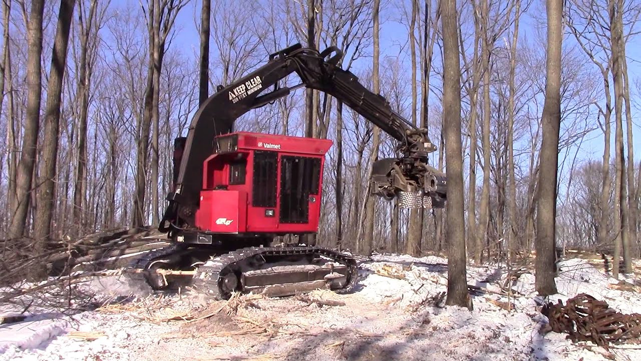 2005 Valmet 415EX Processor with a Rolly II Head - YouTube
