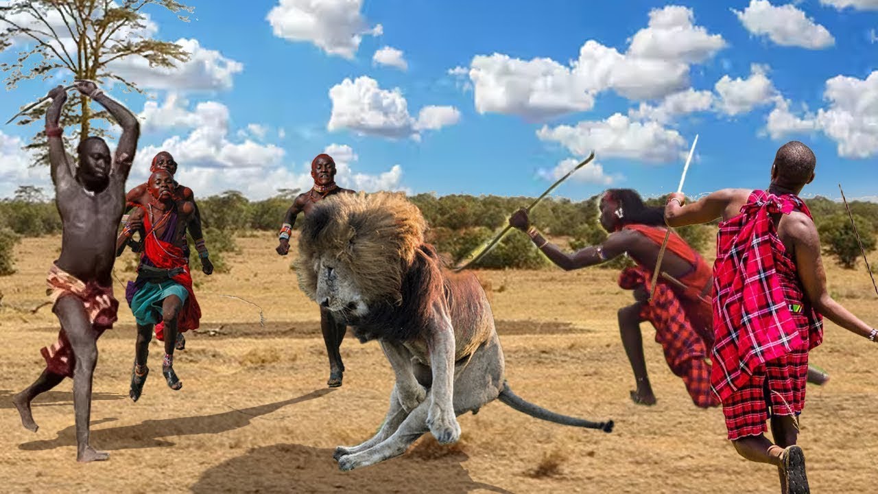 Poor Lion Got This Harsh Punishment From Maasai Tribe As They Encounter ...