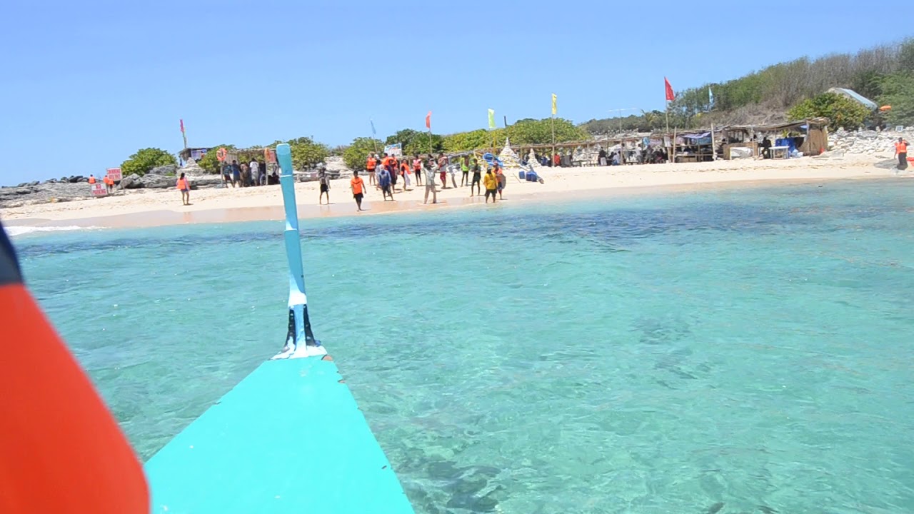 COLIBRA ISLAND - YouTube