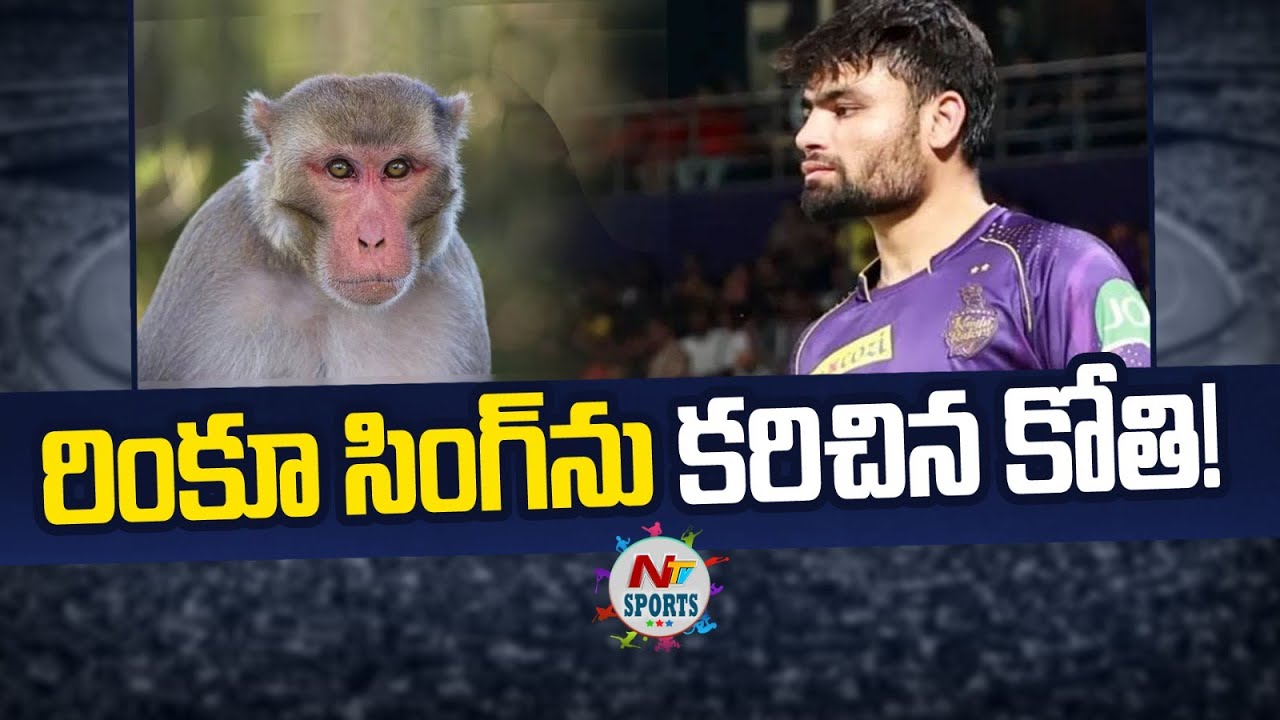 Rinku Singh got bitten by a monkey | NTV Sports - YouTube